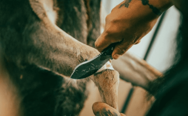 What Are The Benefits Of A Custom-Made Skinning Knife?